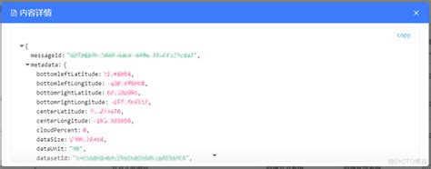 Vue常用依赖（一）vue Json Viewer展示json格式数据妮可是条狗的技术博客51cto博客