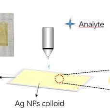 The Diagram Of Test And The Prepared Substrate Download Scientific Diagram
