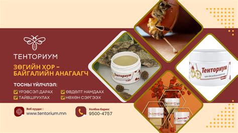 Зөгий таны төлөө Added A New Photo Зөгий таны төлөө