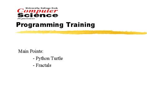 Programming Training Main Points Python Turtle Fractals Functions