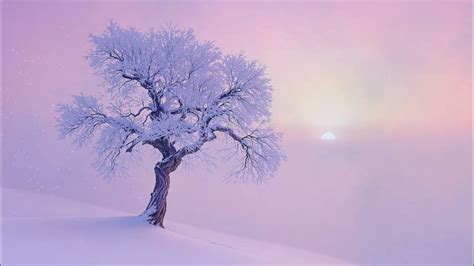 심신안정과 몸의 이완을 돕는 주파수 힐링 음악 🌙 스트레스 해소 잠들기 전 음악 Youtube