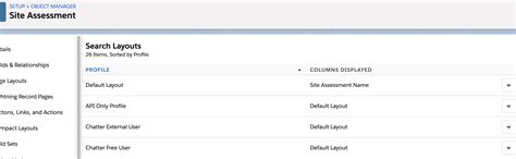 Administration List Button Not Showing At Top Of List View For Custom Object In Lightning