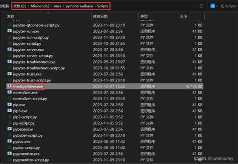 Windows使用selenium操作edge浏览器实现爬虫selenium Edge Csdn博客
