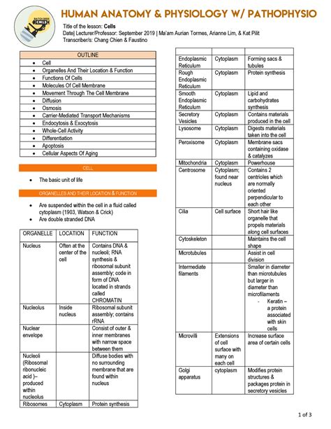 Cell Reviewer Lecture Notes 1 10 Warning Tt Undefined Function
