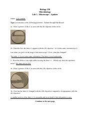 Completed Lab 5 Microscope R 1 Docx Biology 250 Microbiology Lab 5 Microscope 4 Points