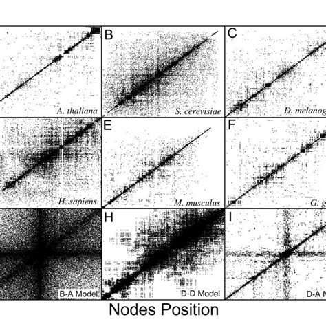 Figure S3 Association Matricesa Arabidopsis Thalianab Download Scientific Diagram