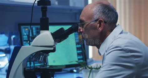 Scientist Examining Bacteria With Microscope Stock Footage Video Of