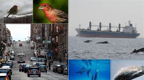 301 Moved Permanently