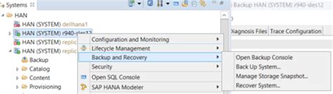 Backing Up And Recovering The Sap Hana Database Sc Series Storage Configuration Best Practices