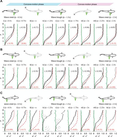 Representatives Of Unsteady Boundary Layer Laminarisation In A The Download Scientific