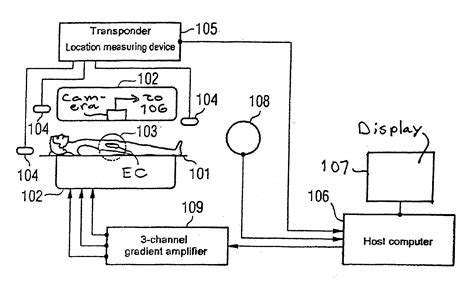 Method And Apparatus For Displaying Information In Magnetically Guided