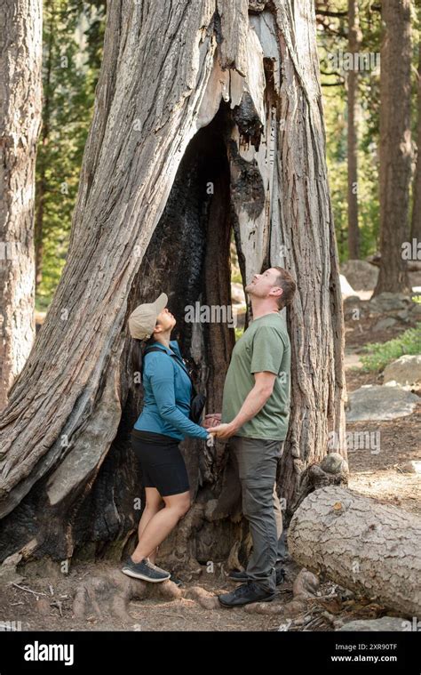 Couple Holding Hands Under An Opening Of A Large Tree Stock Photo Alamy