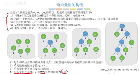 二叉树 哈夫曼树的构造和应用 Csdn博客