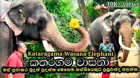 බුදුන් වදින බෝසත් ඇතෙක් Kataragama Wasana Youtube