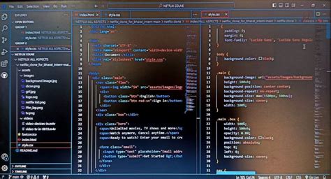 Successfully Completed The First Task Netflix Clone Using Html And… Nilipta Palai
