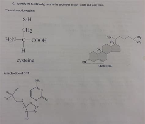 Solved C Identify The Functional Groups In The Structures