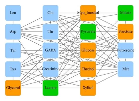 Correlation Based Networks Of Metabolite Data Sets A Original