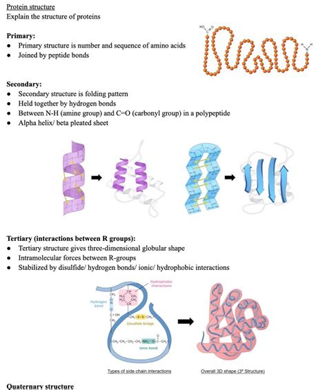Ib Biology Notes [level 7] [ib45] 興趣及遊戲 書本 And 文具 教科書 Carousell