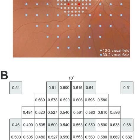 Composite Figure Of Visual Field Patterns A And Estimated Db Download Scientific Diagram