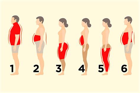 6 Types Of Body Fats You Need To Know Htv
