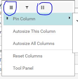 Javascript How To Hide Some Tabs In Header Filter In Ag Grid Stack Overflow