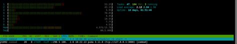 Zammad Very Slow Technical Assistance Zammad Community