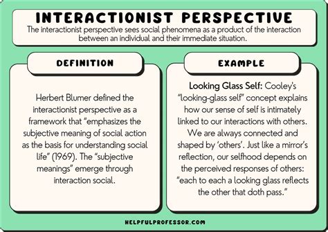 Social Interaction Theory Behavior