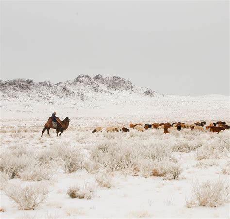 Маргаашнаас зарим нутгаар цас орно