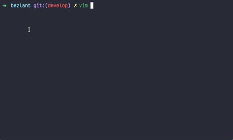 bug startup cmdline message disappears in a flash · issue 733 · nvim