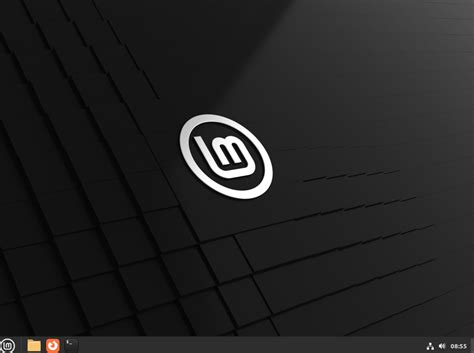 Quickly Reset Graphics Settings In Linux Mint Using The Command Line I Have A PC
