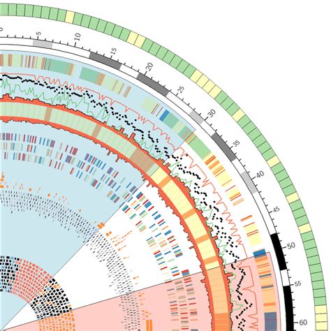 circos tutorials 2d data tracks putting it all together circos