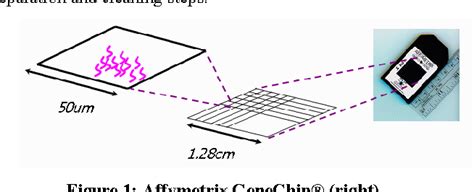 Figure 1 From 2 3 Using A Data Mining Toolkit To Realize The Steps Of A Data Mining Process