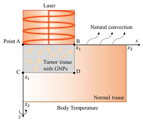 Schematic Figure Of Validation Numerical Analysis Model Download Scientific Diagram