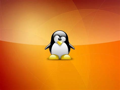 Linux Tux Wallpapers Wallpaper Cave