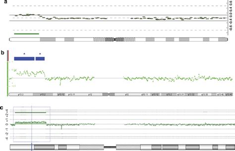 Array Cgh And Snp Chip Based Copy Number Analyses Of The Proband A Download Scientific Diagram