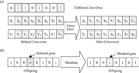 Examples Of Ga Operations A Uniform Cross Over B Mutation