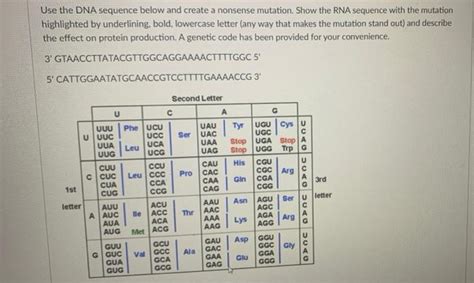 Solved Use The DNA Sequence Below And Create A Nonsense Chegg
