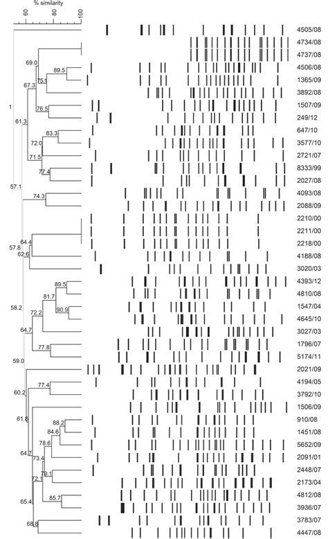 Streptococcus Anginosus Milleri Group Strains Isolated In Poland 1996 2012 And Their