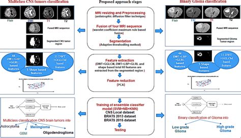 The Proposed Overall Approach With Three Stages For The Multiclass
