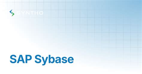Sap Sybase Syntho Documentation