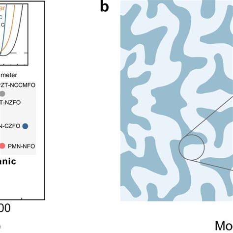 Proton Mediated Multiferroic Molecular Heterogeneous Solid A Selected Download Scientific