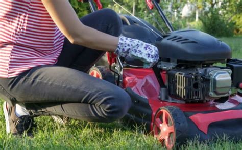 Mower Engine Surging (Why + How to Fix) - Cherry Picks