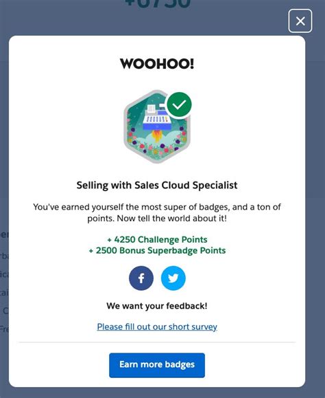 Sahithya Sahi V On Linkedin Salesforce Trailhead Superbadge Salescloud