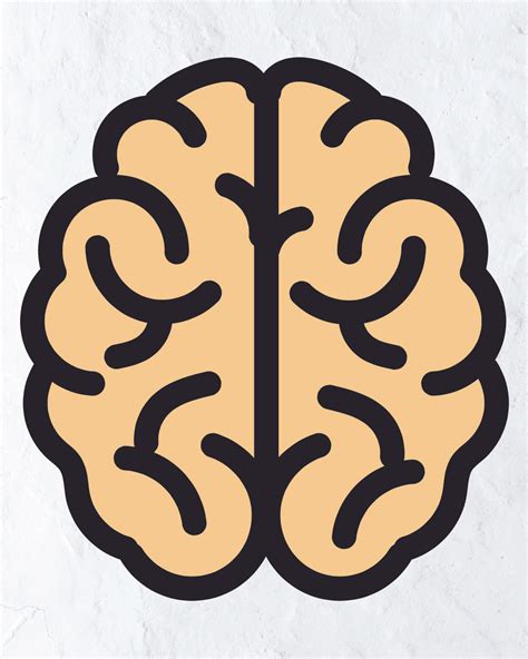 How To Draw Brain In Simple And Easy Step By Step Guide Storiespub