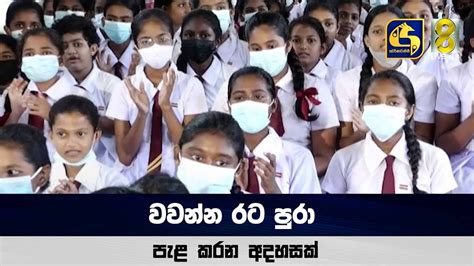 වවන්න රට පුරා පැළ කරන අදහසක් Youtube