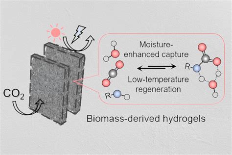 innovative hydrogels for sustainable carbon dioxide capture with