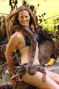 Python图标图片 Python图标素材图片大全 摄图网