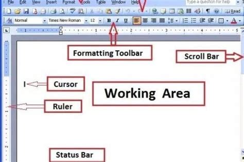 format design edit microsoft ms word document and pdf for 20