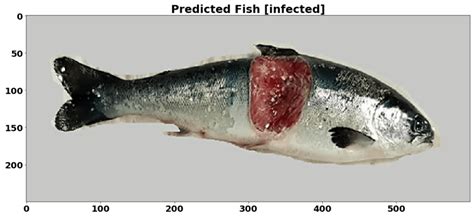 Fish Disease Detection Using Image Based Machine Learning Technique In Aquaculture Deepai