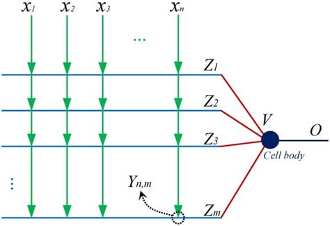 Explaining A Logic Dendritic Neuron Model By Using The Morphology Of Decision Trees